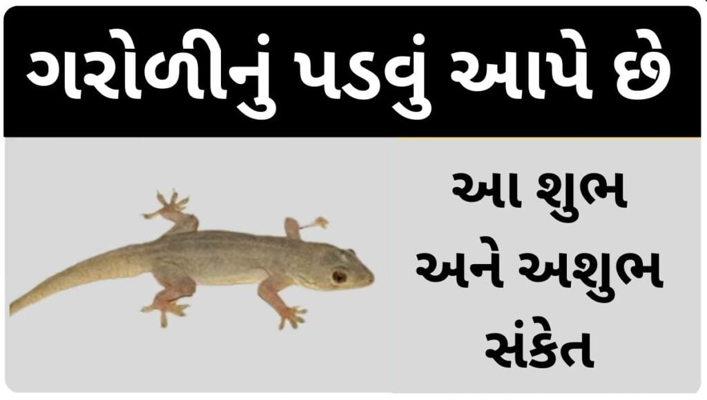 ગરોળીનું પડવું આપે છે આ શુભ અને અશુભ સંકેત, જે તમારે પણ જાણવું જોઈએ ...